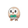 Rowlet Pokédex: stats, moves, evolution & locations | Pokémon Database
